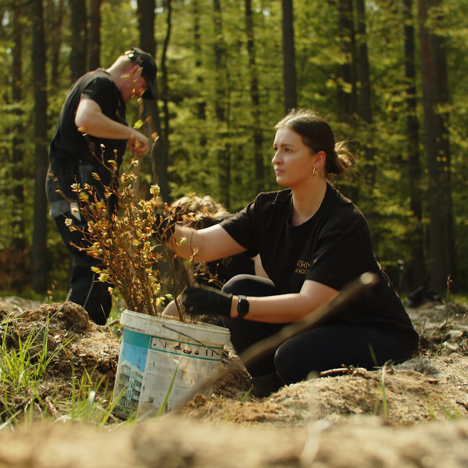 How tree planting shapes our approach to design and sustainability ...