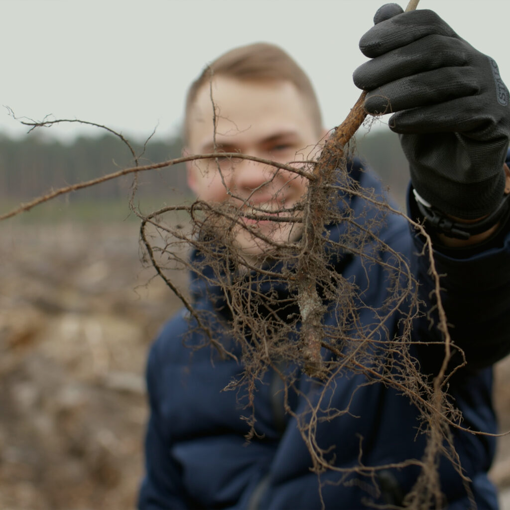 How tree planting shapes our approach to design and sustainability ...